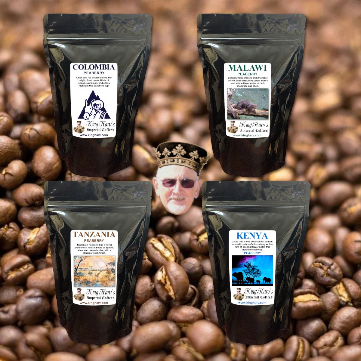 Geisha Coffee 4 pack | King Harv's Imperial Coffees