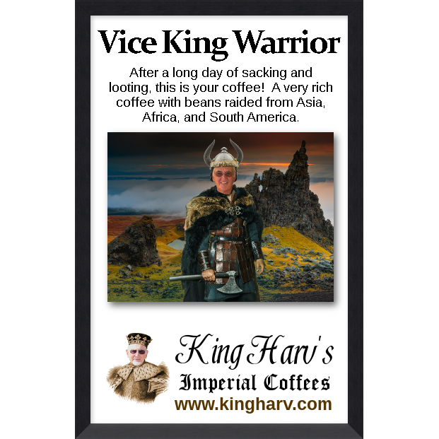 VICE KING 11x17 Print with Frame | ABSOLUTELY EVERYTHING IS ON SALE FOR ...